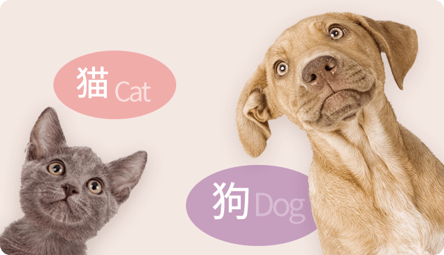 利其尔官网 | Richell